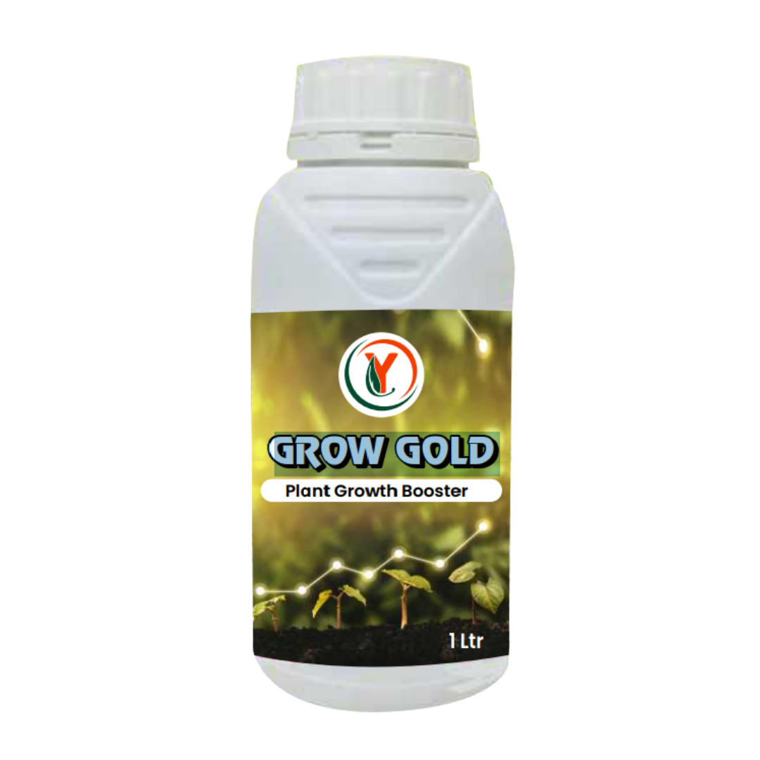 Grow Gold – Yukon